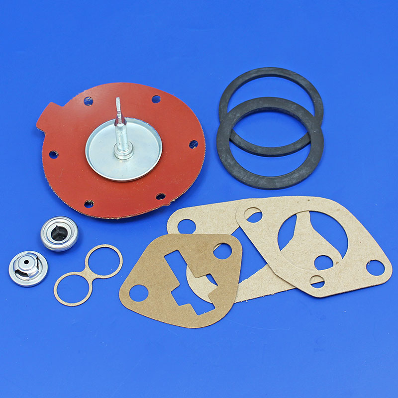 Fuel Pumps, Repair Kits, Regulators and Filters | Flexolite